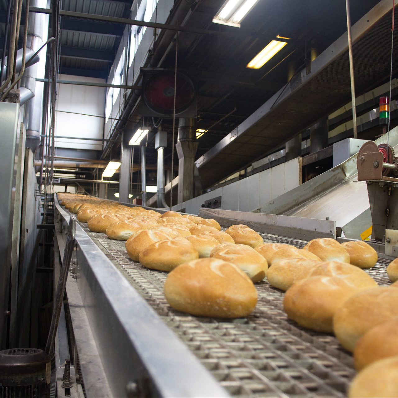 Branches | Applied Acumen Nederland