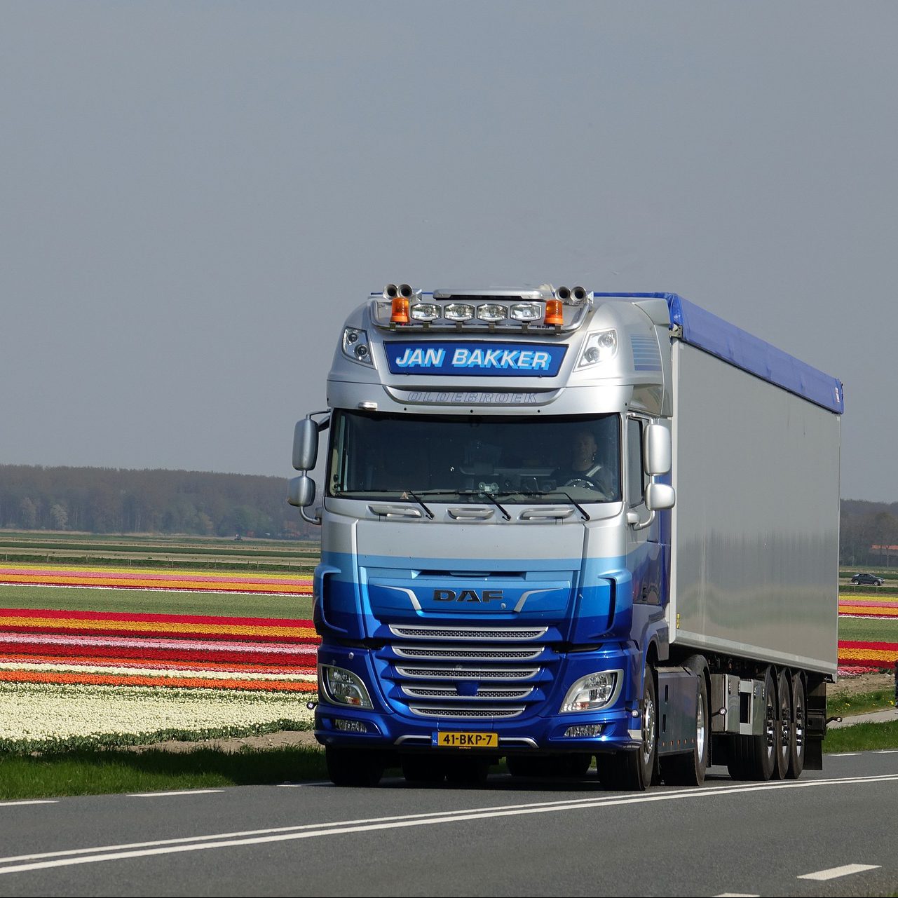 Branches | Applied Acumen Nederland